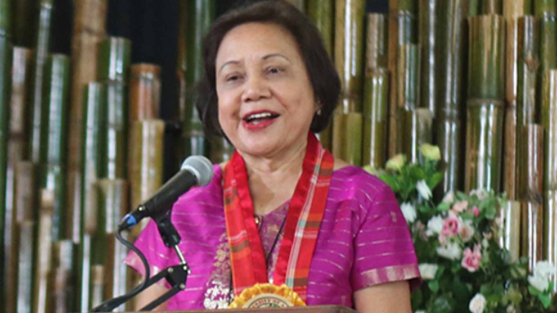 Senator Villar Tells Antique Grads To Be Resilient Like Bamboo ...