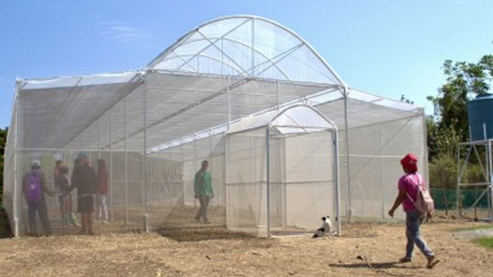 DAR Grants PHP1.5 Million For ARBs In Ilocos Norte Town To Boost Food ...