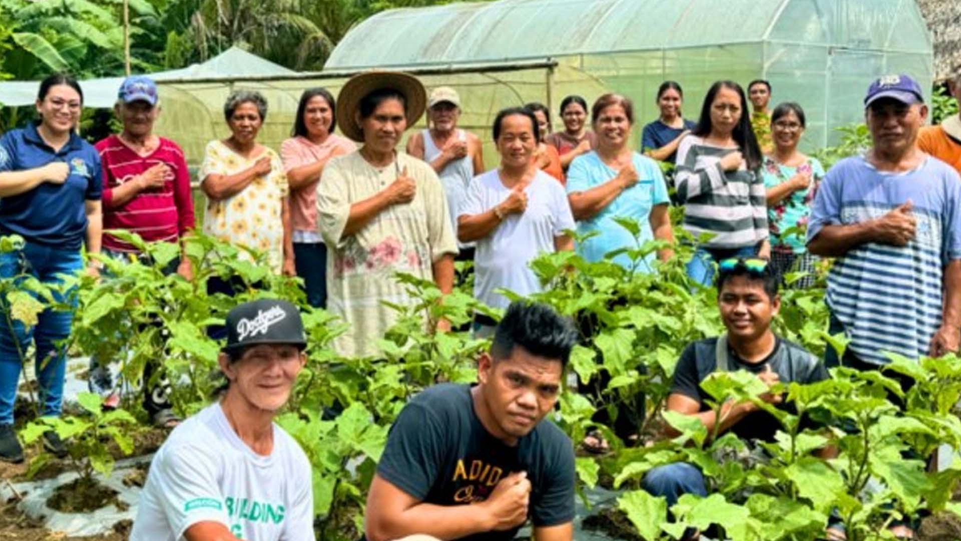Eastern Visayas Farm Sector Gets PHP118.75 Million Anti-Poverty ...